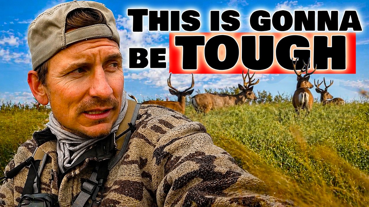 Alberta Draw Tag Mule Deer | How to Hunt with Ryan Kohler | S6 E4 - YouTube