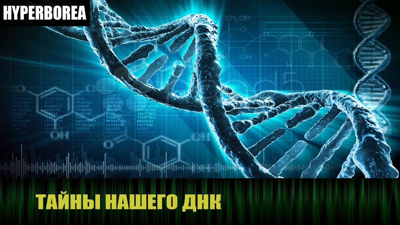 Что может и из чего состоит наше ДНК Youtube
