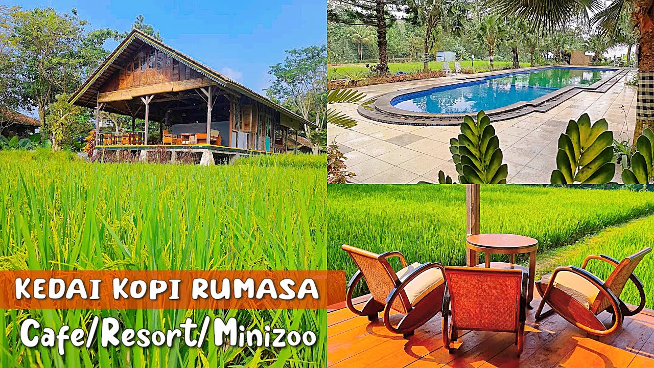 Hidden gem BOGOR | Kedai Kopi Rumasa| Cafe ramah anak |ada minizoo ...