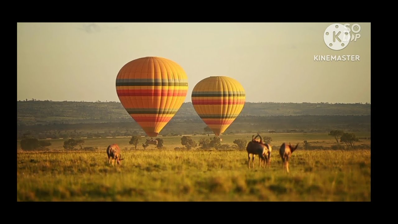 Relaxing Instrumental Music with Hot Air Balloons Background - YouTube