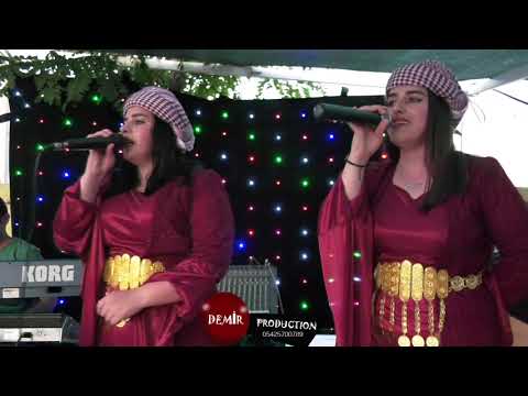 Nazli ile zilan şedal ailesinin düğününden bir kaç kare