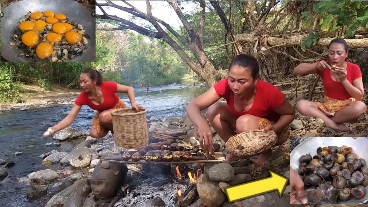 Big Snails Cooking With Chicken eggs In Forest !primitive wildlife India!@VillageCookingChannel ...