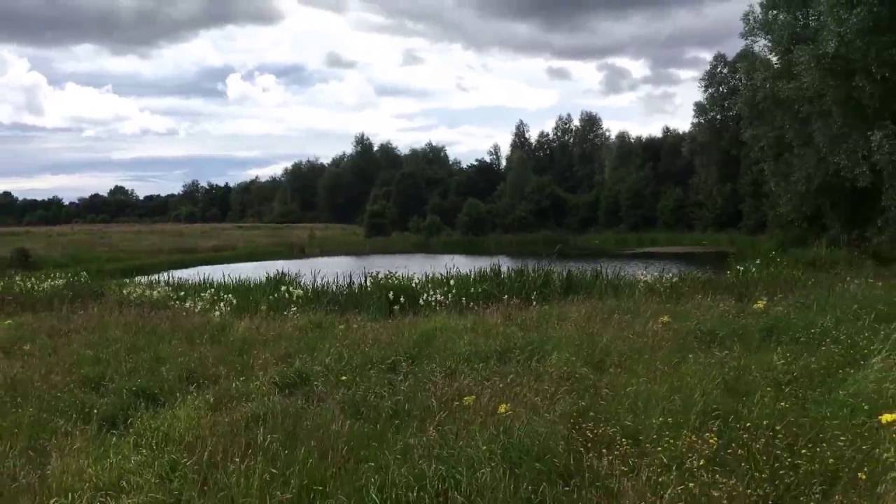 Robroyston Park - 31/07/16 - YouTube