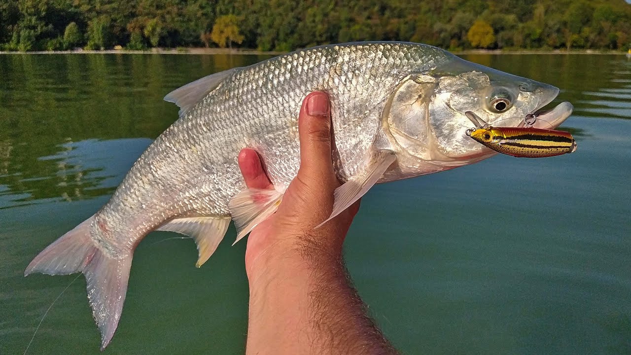 Rico Boss 90, a balincsali 4K - YouTube