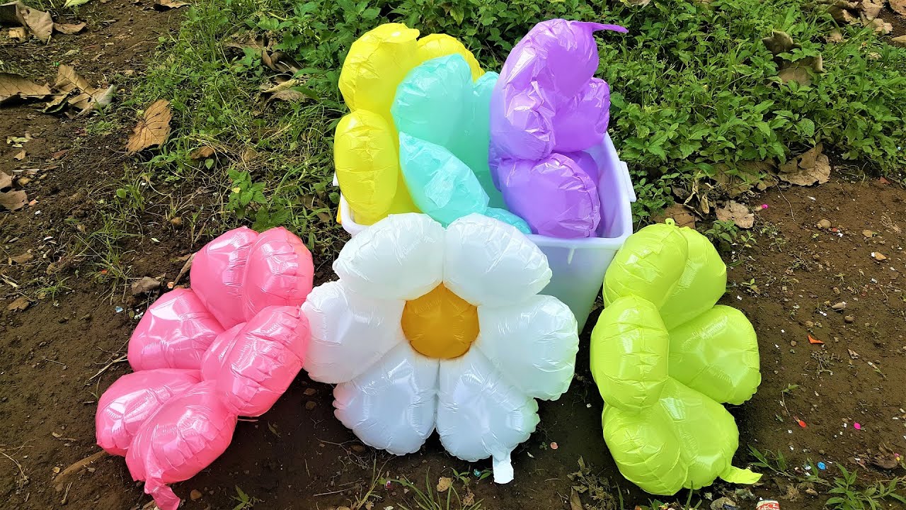 Menemukan Mainan Balon Bunga Matahari Warna Warni - YouTube