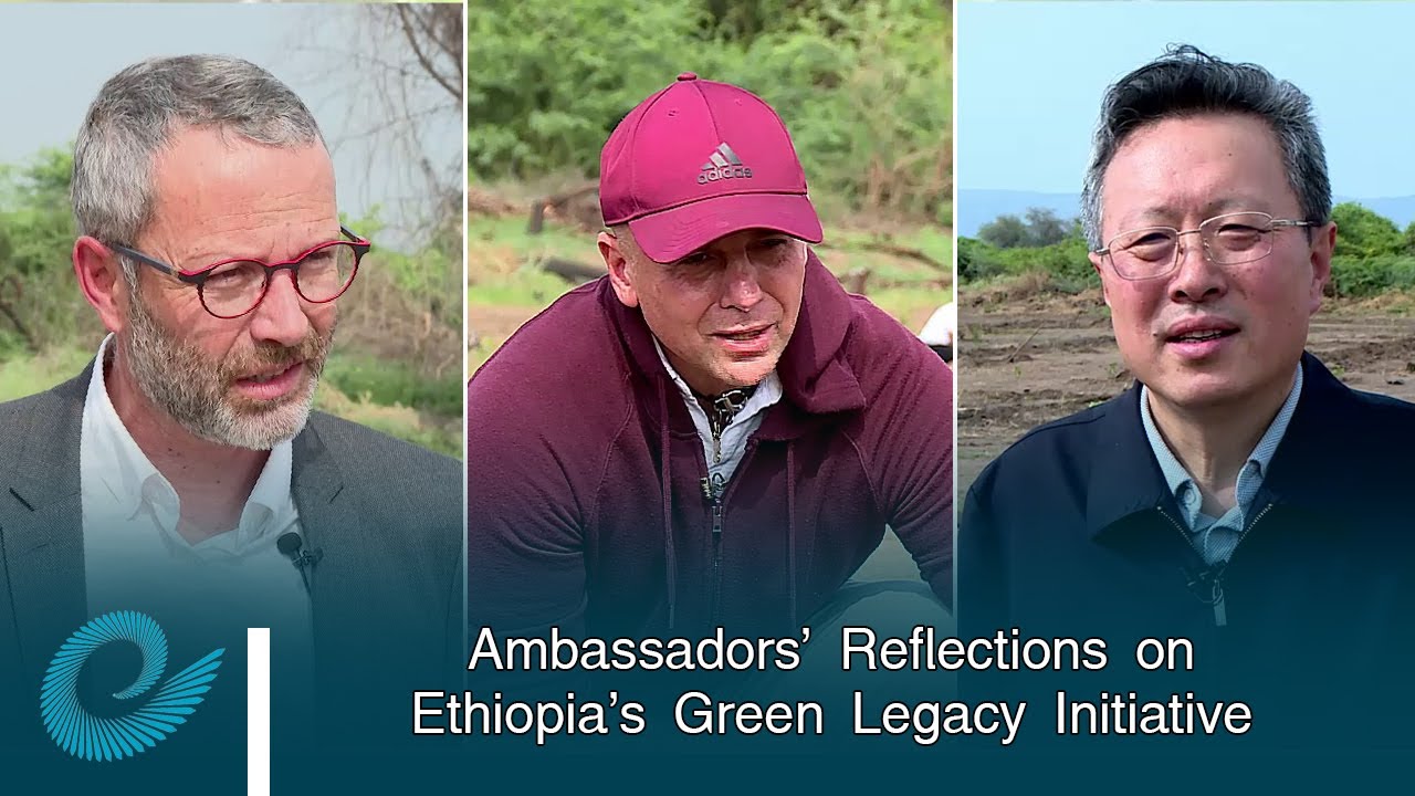 Ambassadors' Reflections on Ethiopia’s Green Legacy Initiative - YouTube