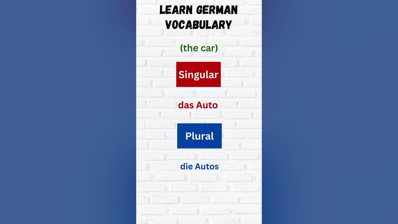 Learn German Singular & Plural Vocabulary #german #learngerman #phrases ...