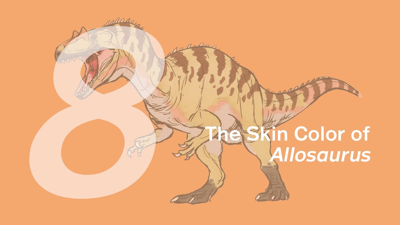 Paul the Allosaurus 8: The Skin Color | Learn to Draw Dinosaurs with ...