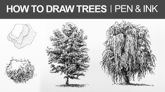 How to Draw a Tree - YouTube