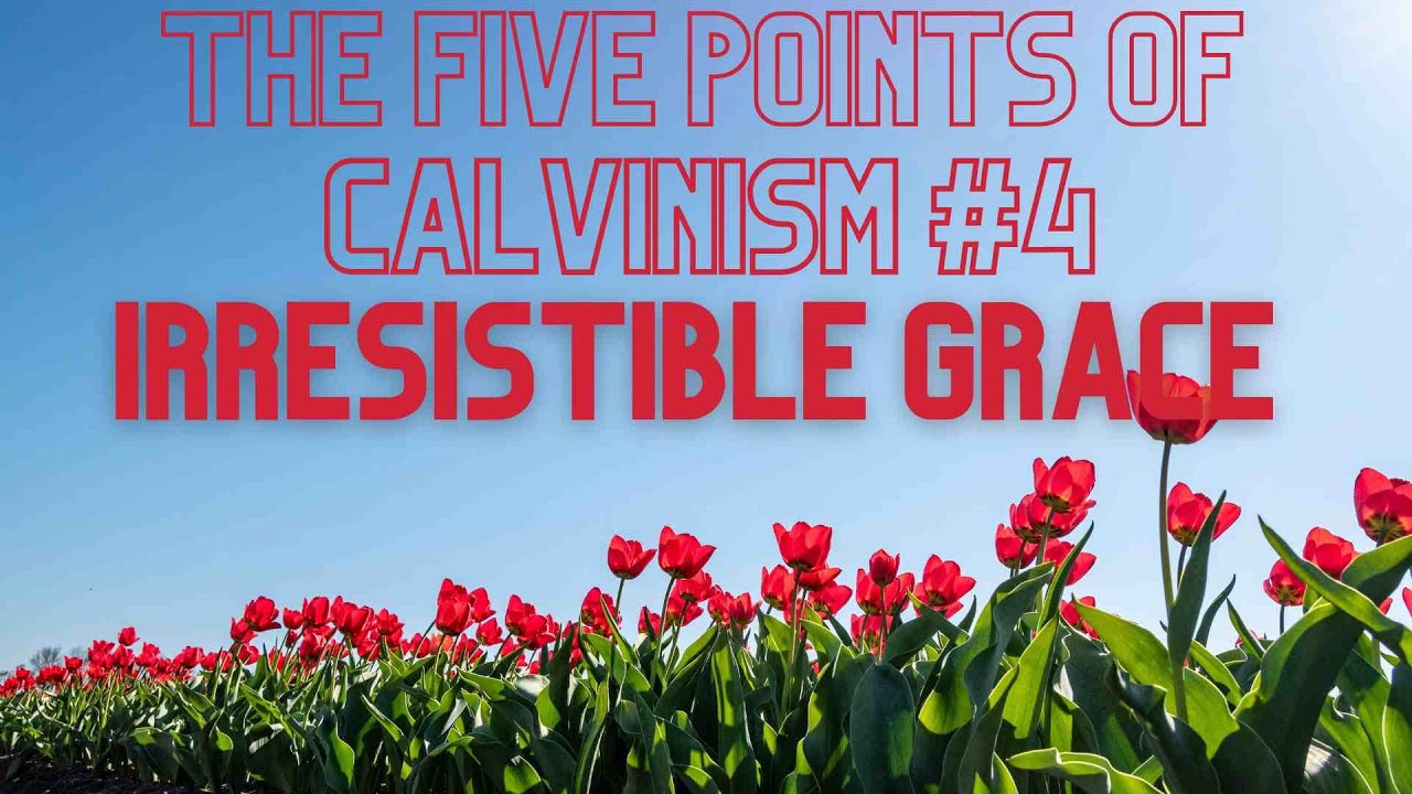 Irresistible Grace — The Five Points of Calvinism: Free-for-All Friday ...