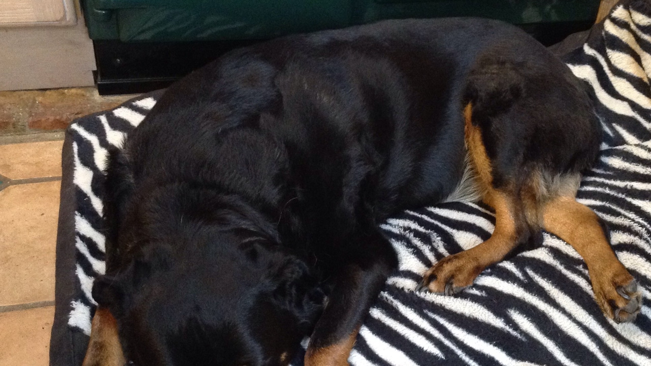 Jaiden and jacob first live video :) - YouTube