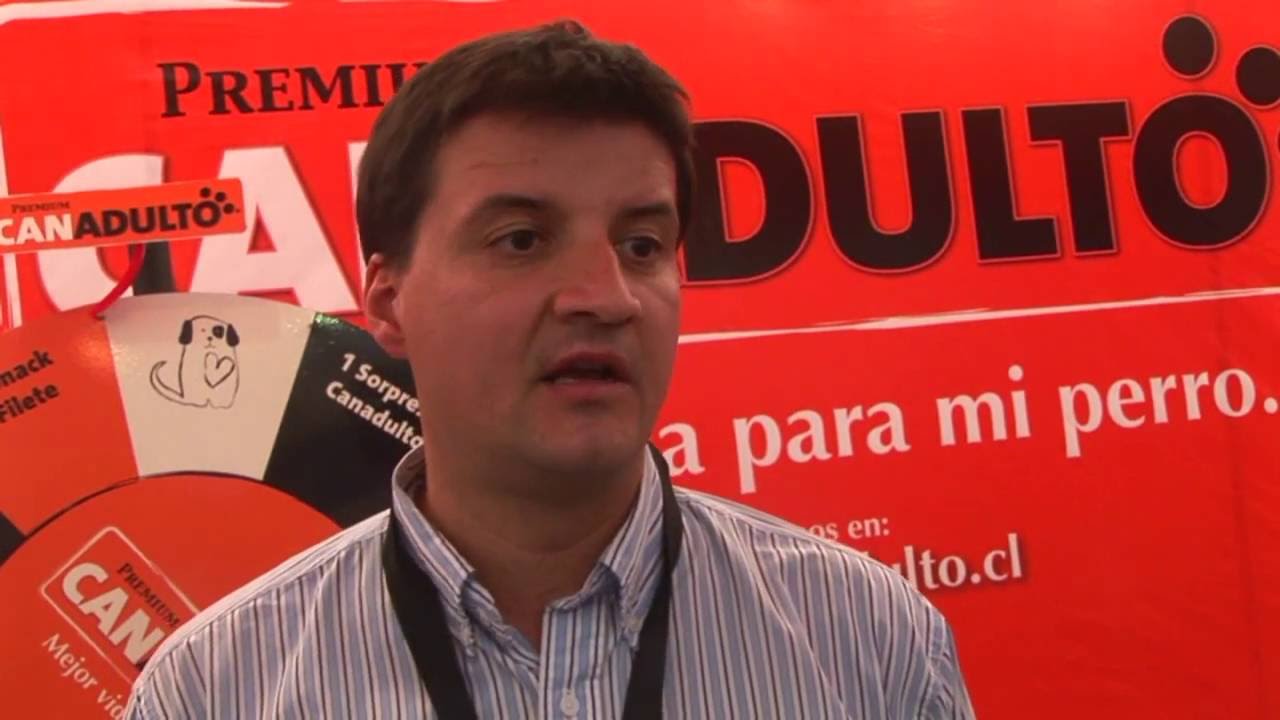 al01 Entrevista a Fernando Echeverria Alimentos Can Adulto - YouTube