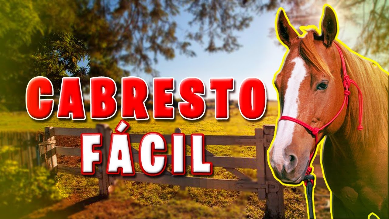 COMO FAZER CABRESTO PARA CAVALOS (FÁCIL E RÁPIDO) - YouTube
