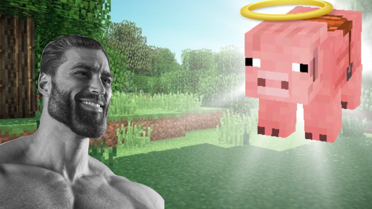 Chad pig - YouTube