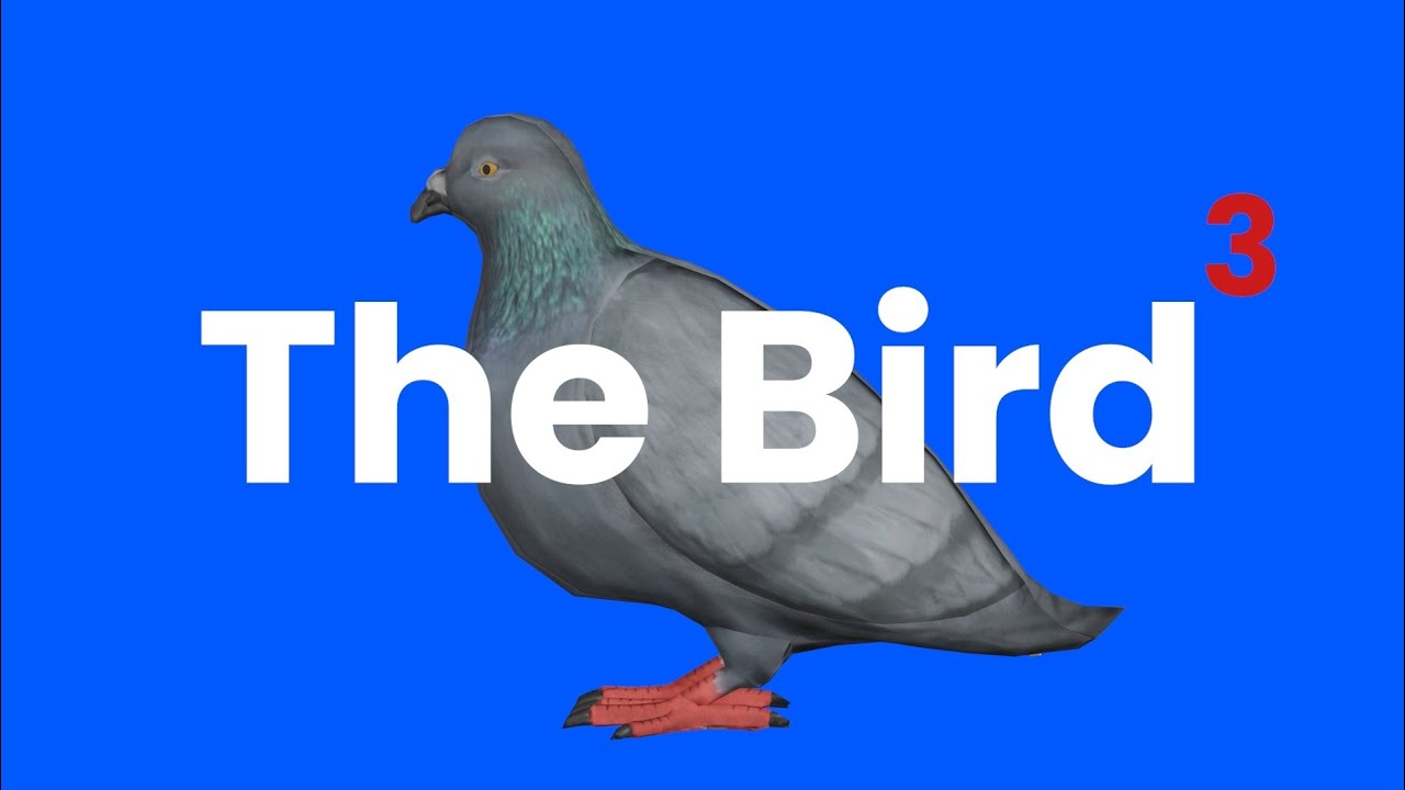 How a Bird Works - YouTube