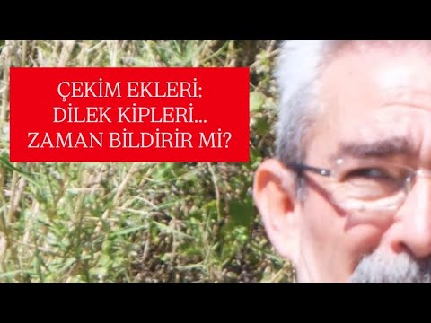 Çekim Ekleri:Dilek(Tasarlama) Kipleri