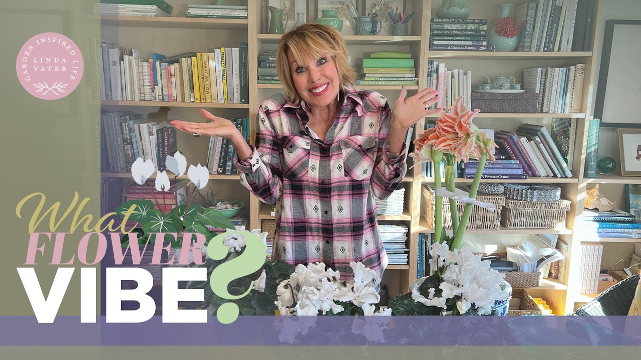 What Flower VIBE Should I Choose? - YouTube