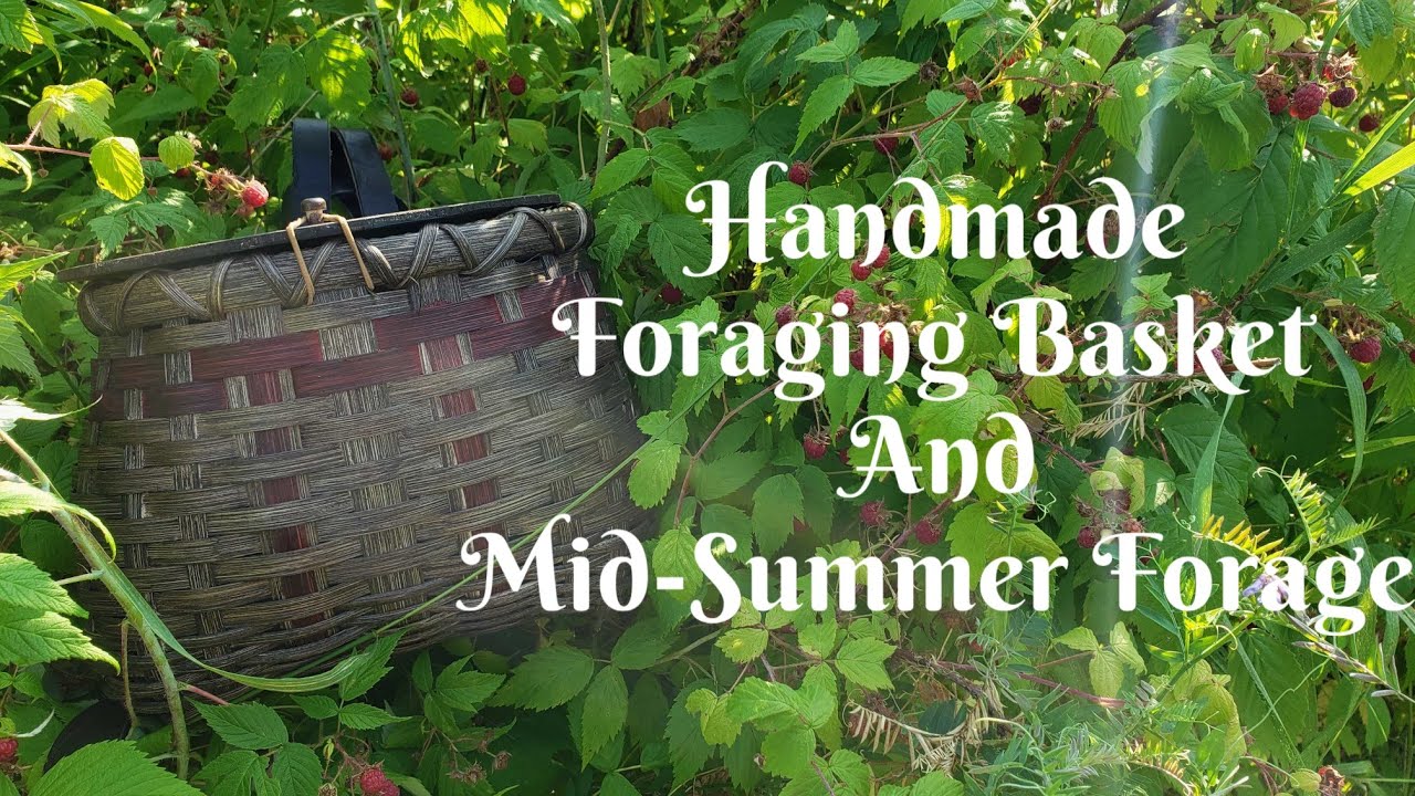 Handmade Foraging Basket and Mid Summer Forage - YouTube