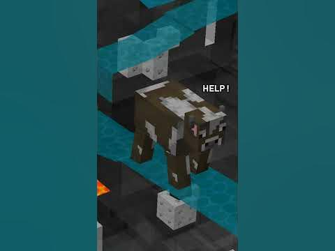 This Minecraft Anarchy Base Went Too Far - YouTube