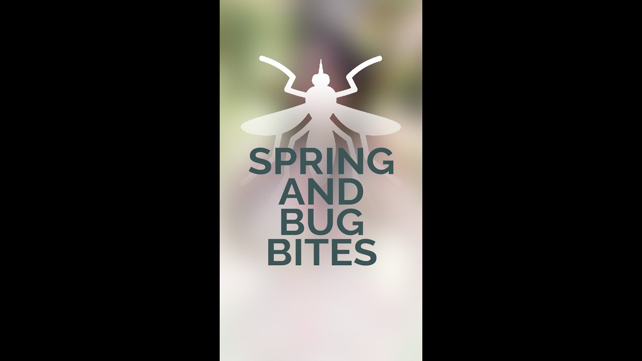 SPRING AND BUG BITE | Dr. Anna Chacon - YouTube