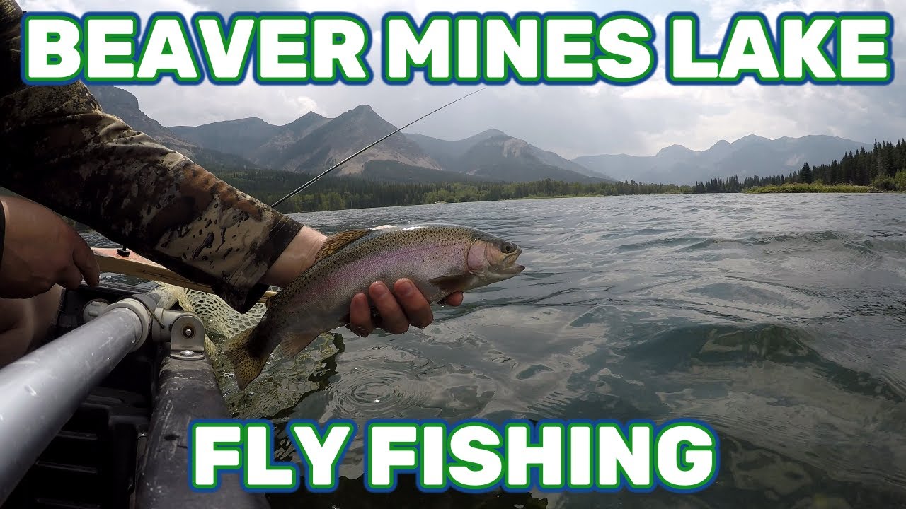BEAVER MINES LAKE ║ FLY FISHING - YouTube