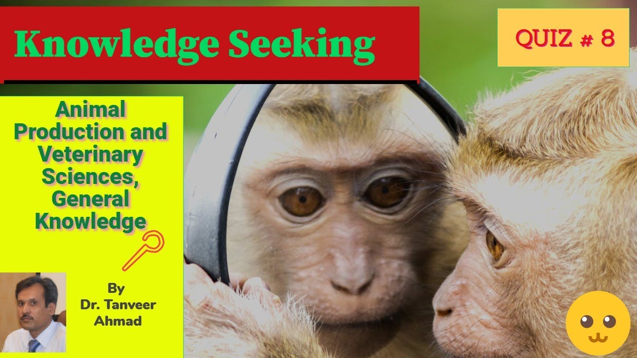Quiz # 8-Lecture Series in Animal Sciences, Animal Nutrition - YouTube