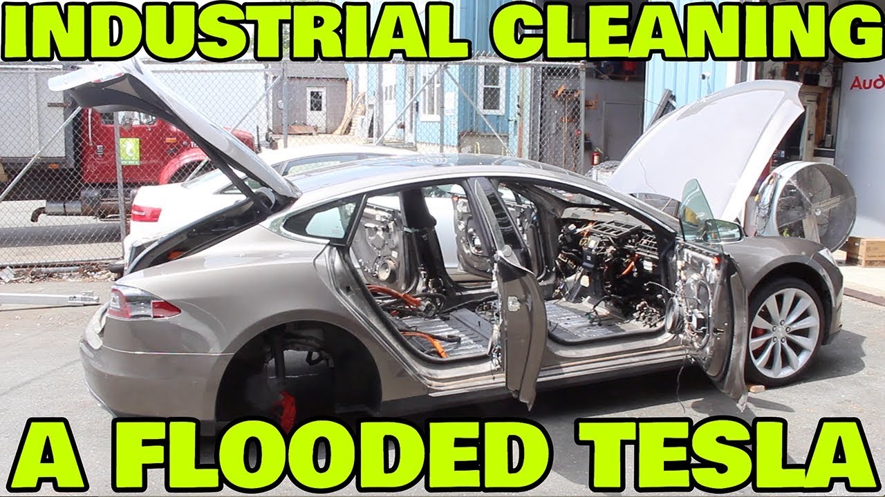 Industrial Cleaning My Moldy Tesla - YouTube