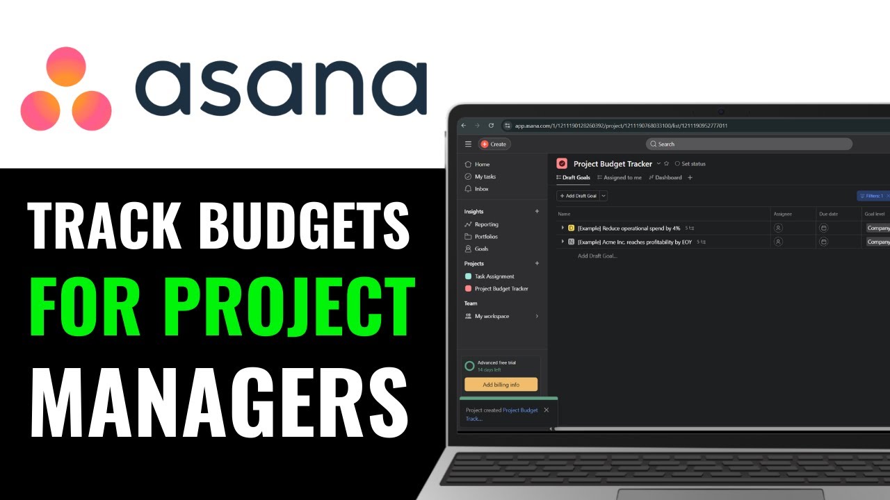 How to Track Budgets in Asana for Project Managers 2025 (Detailed Guide ...