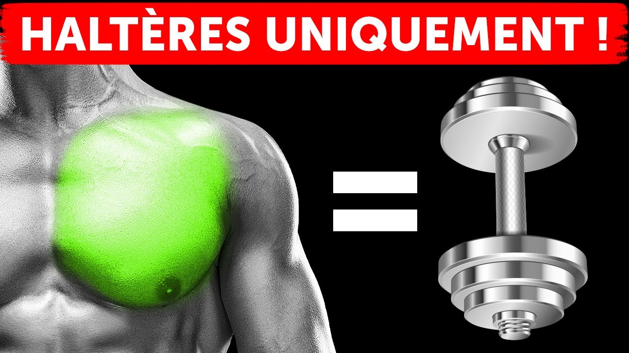 8 Minutes d’Exercices à Domicile Pour se Muscler et Perdre de la ...