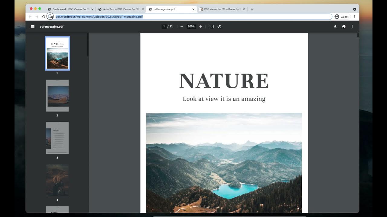 5. Setting up Automatic iFrame or Automatic Link in PDF Viewer for WordPress - YouTube