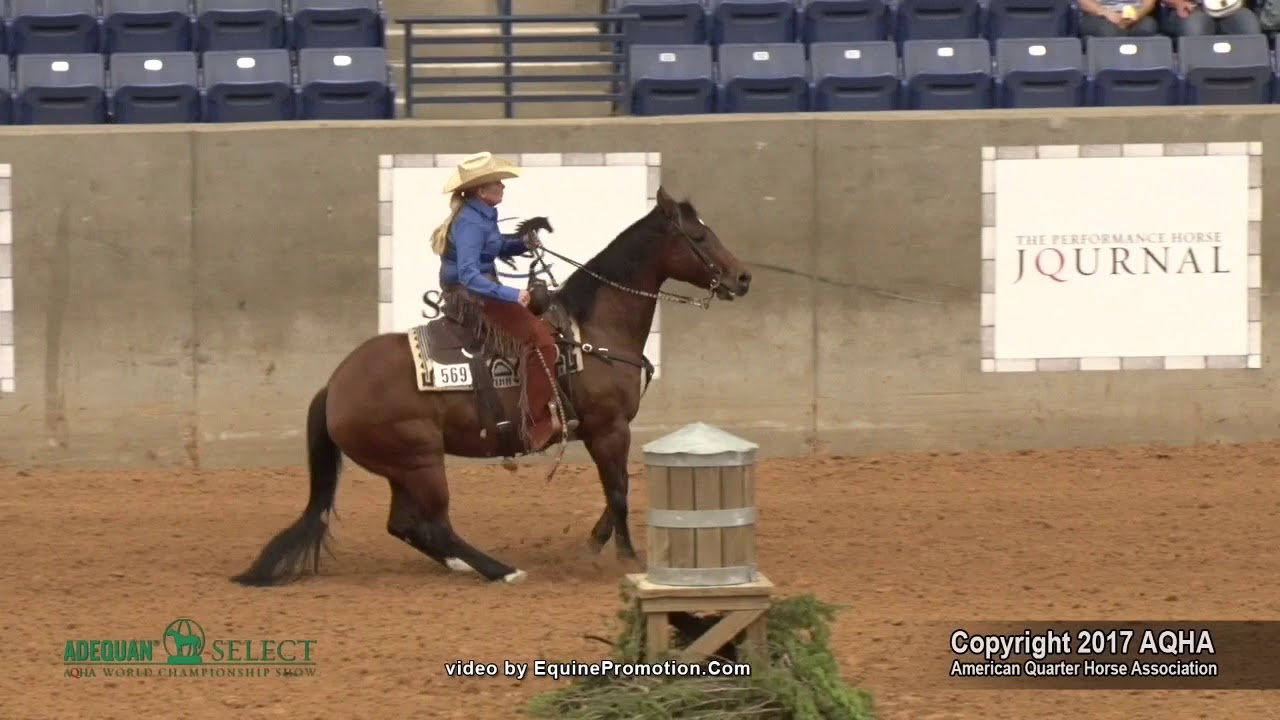 2017 AQHA Select Ranch Riding - YouTube