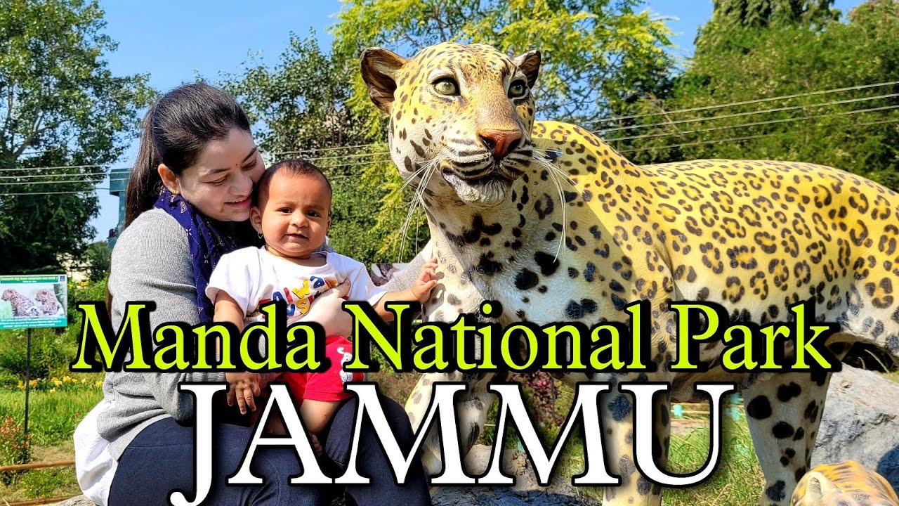 Manda National Park ( Jammu Kashmir files) - YouTube