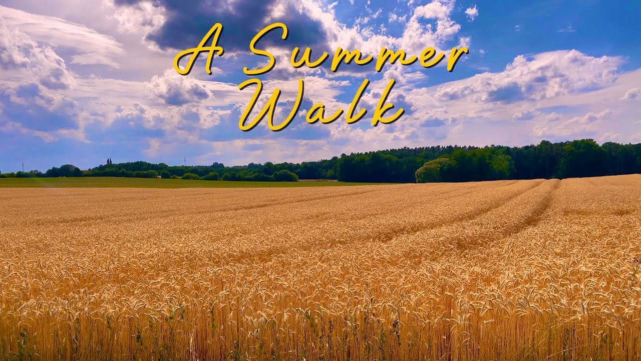 [4K] A Walk in the Summer | Ambient Nature Sounds for Relaxation, Sleep ...