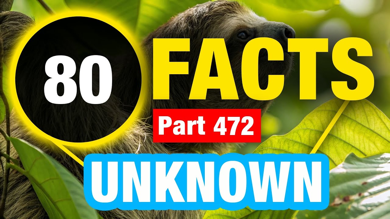 80 Fun Facts | Interesting Facts - YouTube