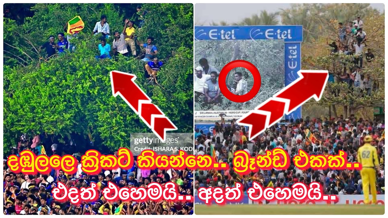 දඹුල්ලෙ ක්‍රිකට් කියන්නෙ වෙනම් බ්‍රැන්ඩ් එකක් 💥 එදත් එහෙමයි අදත් එහෙමයි ...