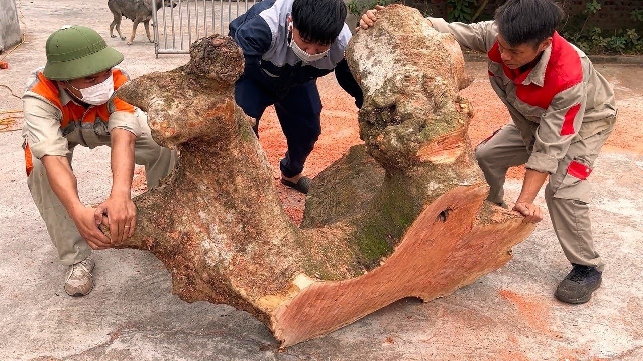 Turn Old Tree Stumps Into Something Amazing: See What This Guy Did To ...