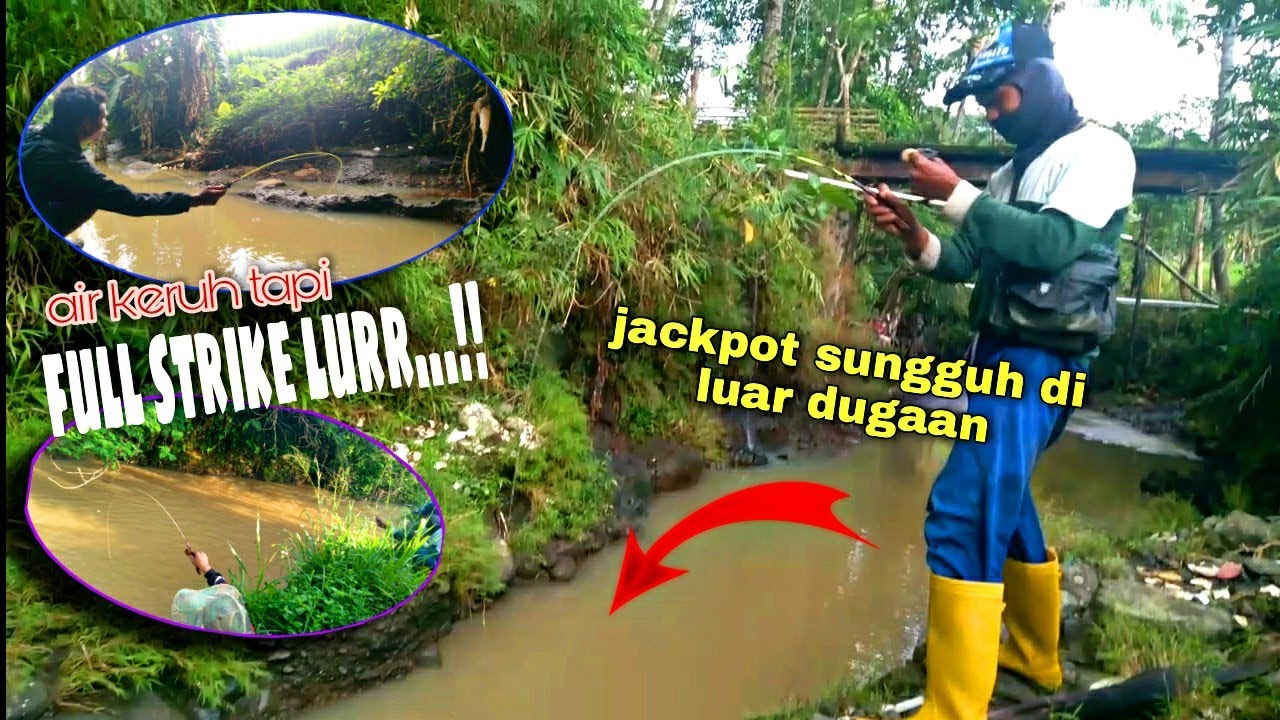 ALHAMDULILAH AIR KERUH FULL STRIKE||mancing wader di air keruh - YouTube
