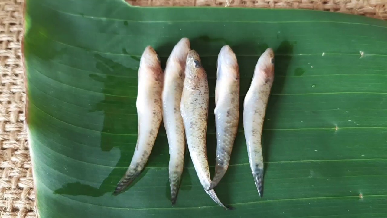 miniature full fish fry | tiny fish fry | miniature cooking |Nấu ăn ...