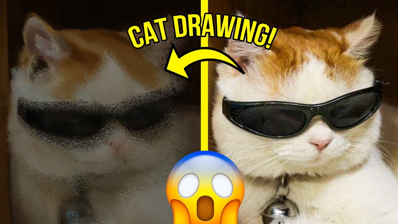 🤣 Drawings of Cat Memes: Funniest Animals 2023😂 Drawing Meme | Cool ...