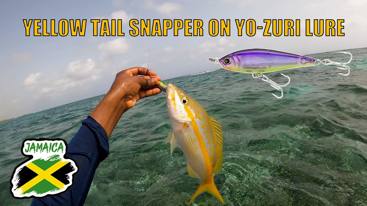 Another Fun Day Lure Fishing On The Reef In Windy Conditions - YouTube