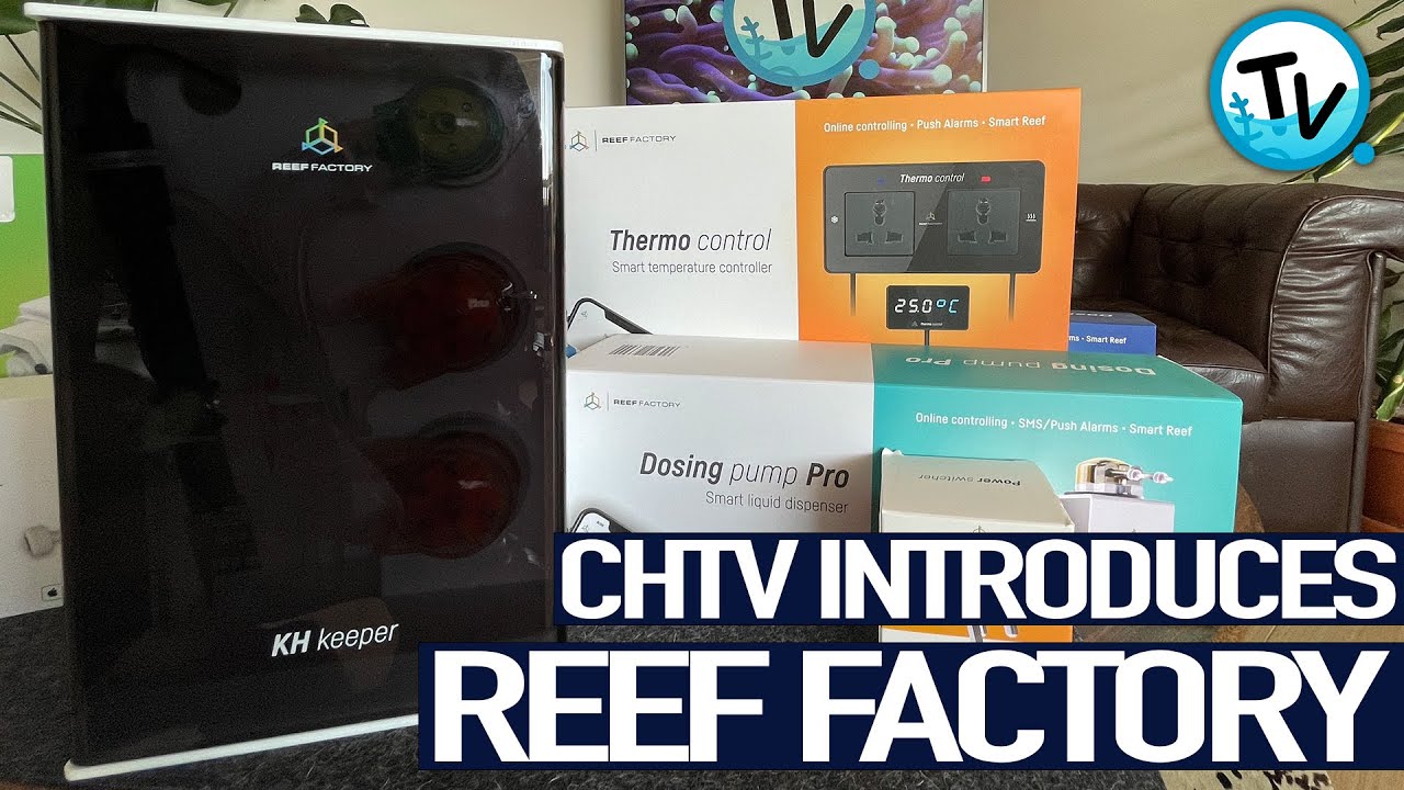 Introducing REEF FACTORY - YouTube