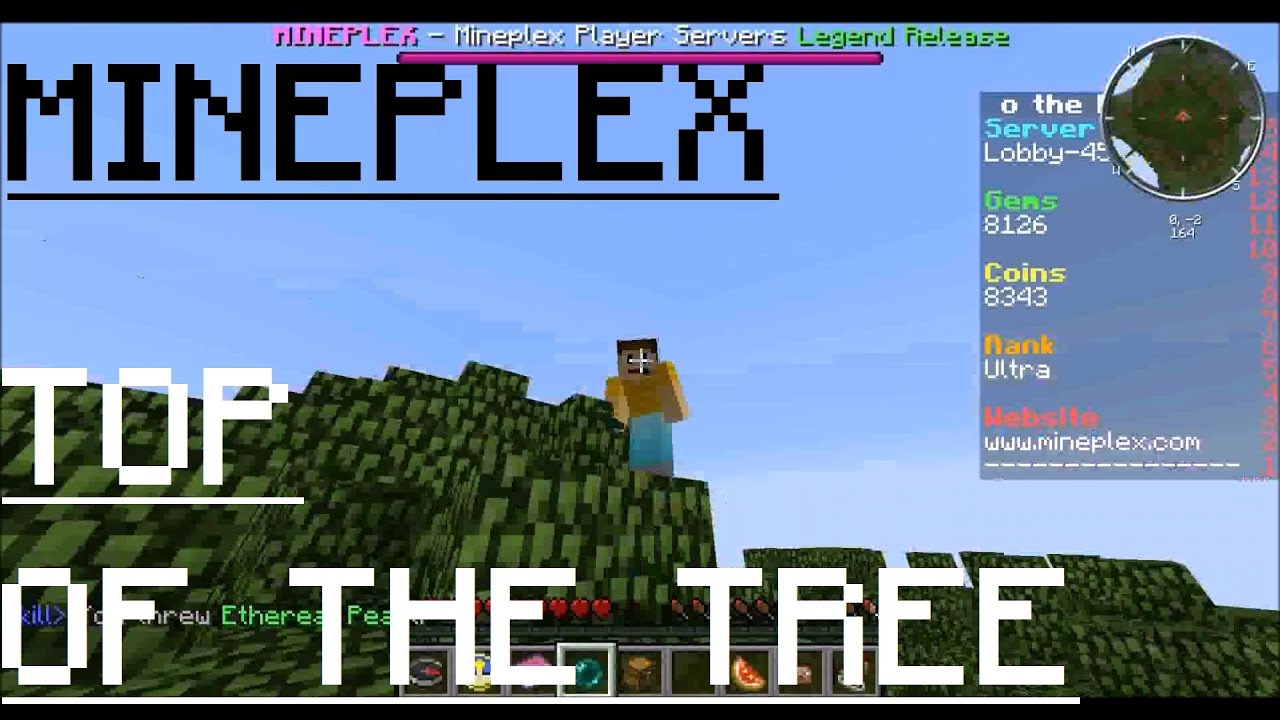 The Top of Mineplex (The Tree) - YouTube