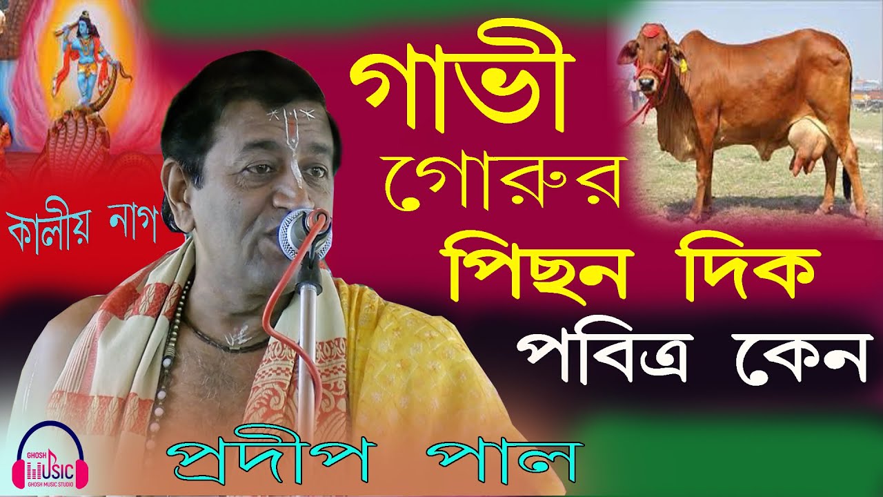 গাভী গোরুর পিছন দিক পবিত্র কেন | Gabhi Gorur Pichhan dik Pabitra Keno ...