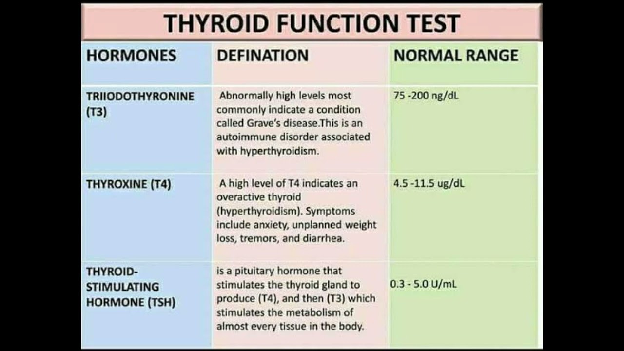 Thyroid Function Test T3 T4 TSH Normal Value Thyroid Test Normal Thyroid Function Test T3 T4 TSH Normal Value Thyroid Test Normal