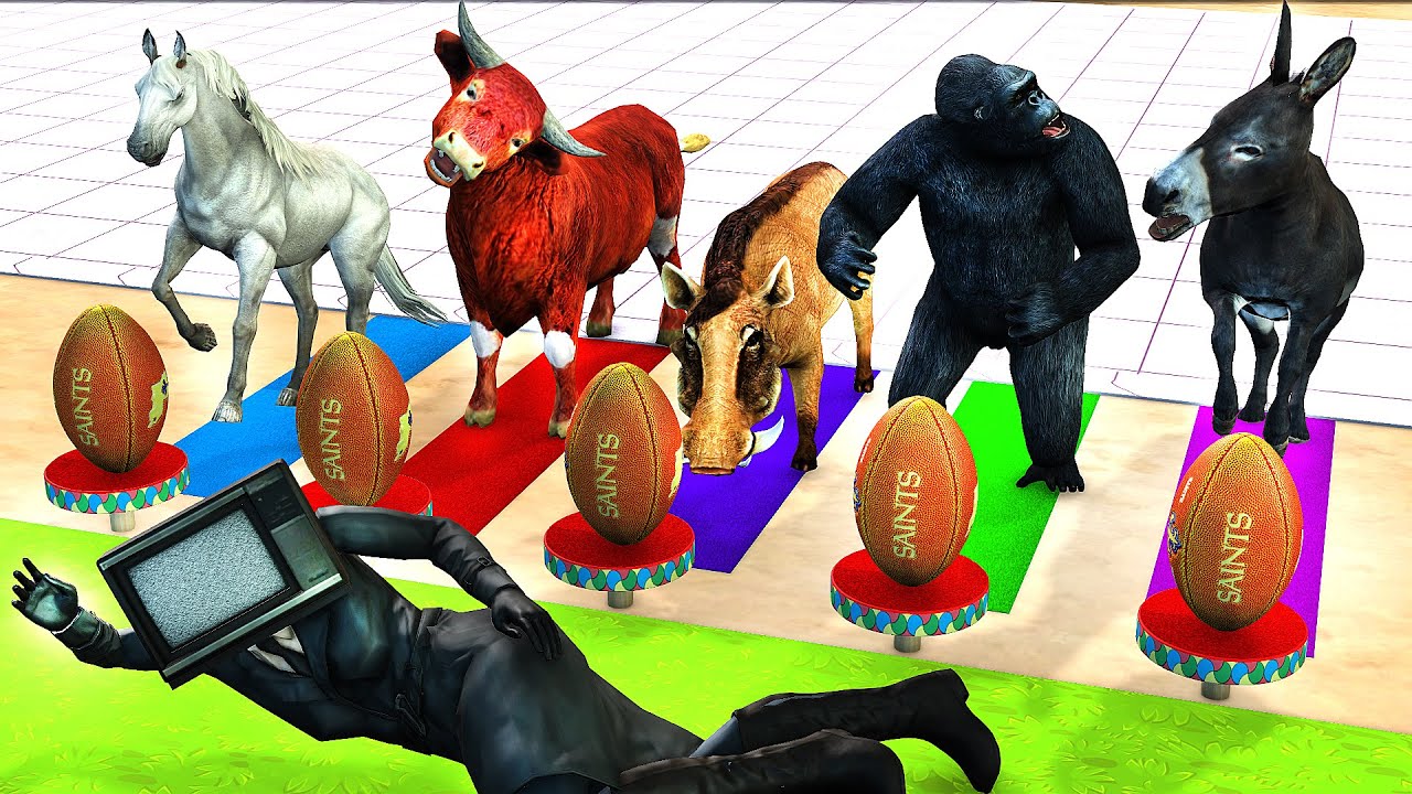 Cow, Gorilla, Horse, Donkey, Pig Vs Rugby Game with Titan TV Woman Wild ...