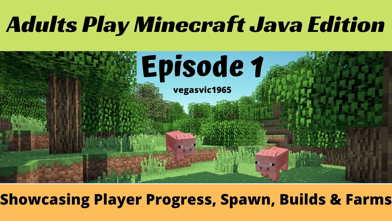 Minecraft Adults Play Minecraft Build Showcase and Tour - YouTube