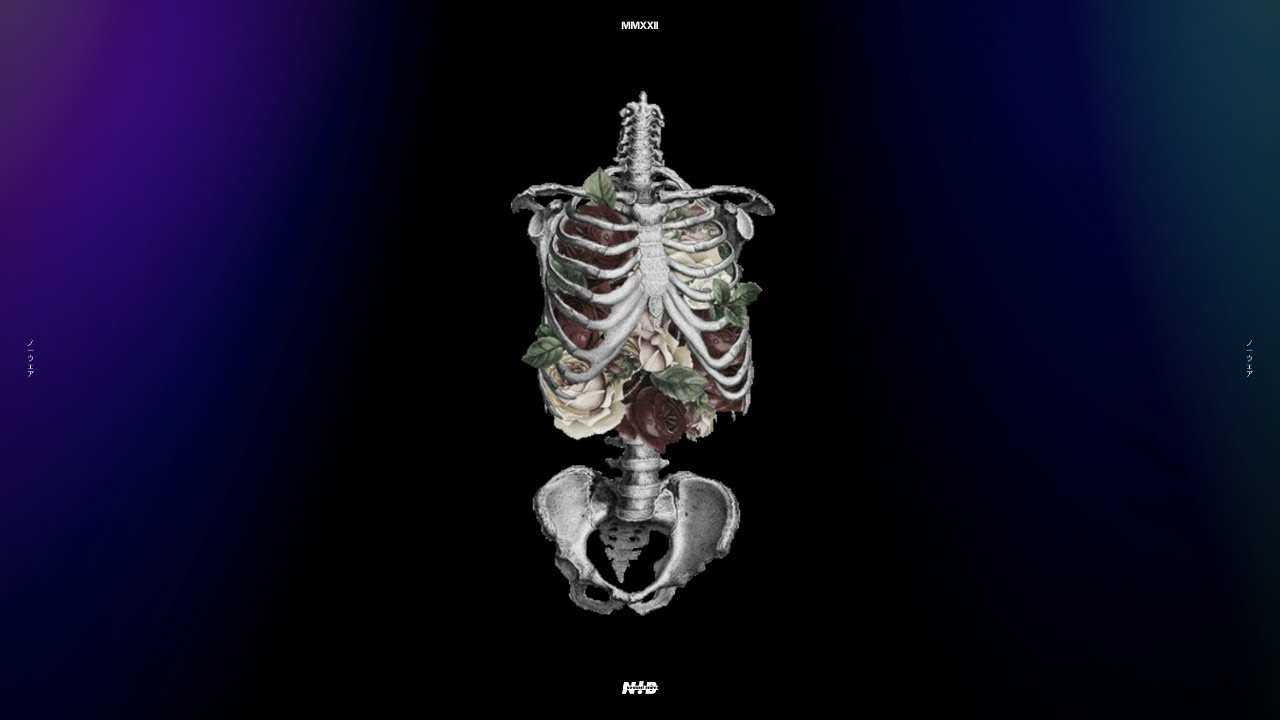 [FREE] Bru-C DnB Type Beat "POLAR" | Lofi Liquid Drum & Bass ...