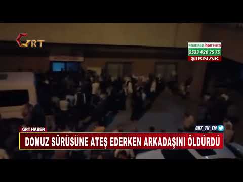 Domuz Sürüsüne Ateş Ederken Arkadaşını Öldürdü