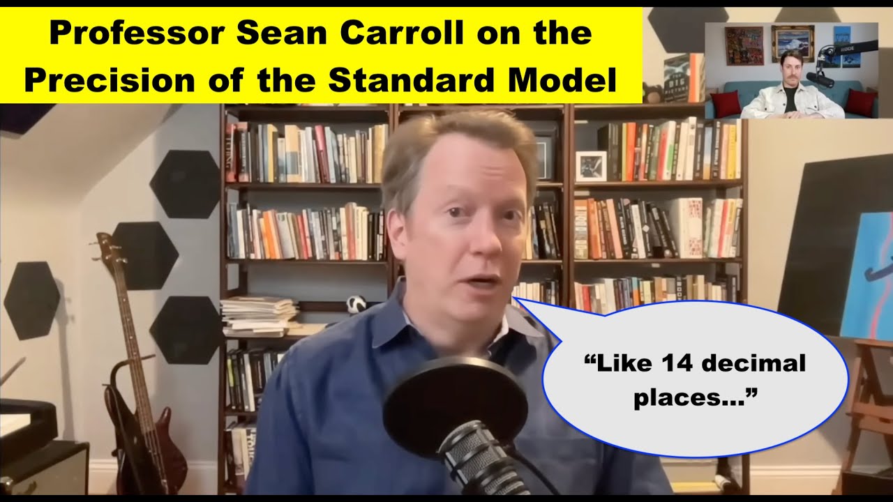 Professor Sean Carroll on the Precision of the Standard Model - YouTube