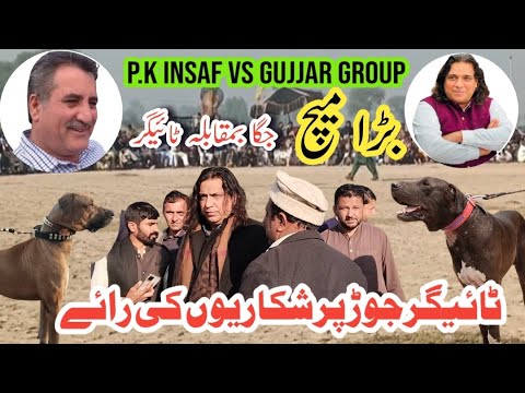 Jaga vs tiger big match | p.k insaf vs gujjar group | famous bully dogs ...